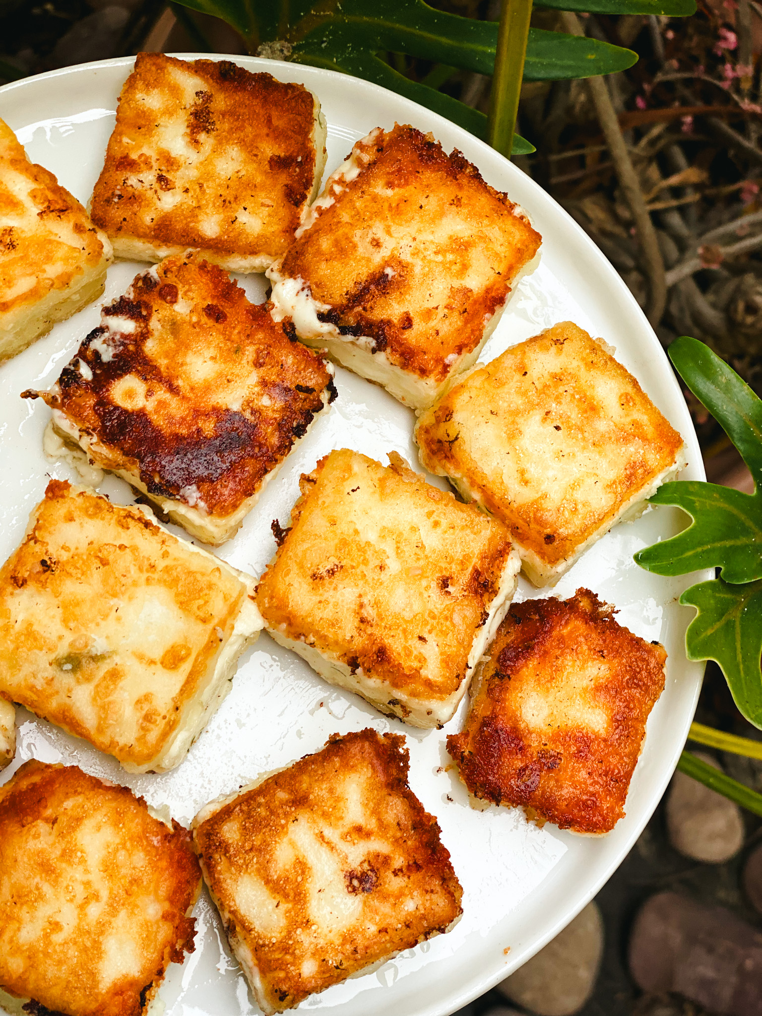 Crispy Feta – SIP.COOK.ENJOY.