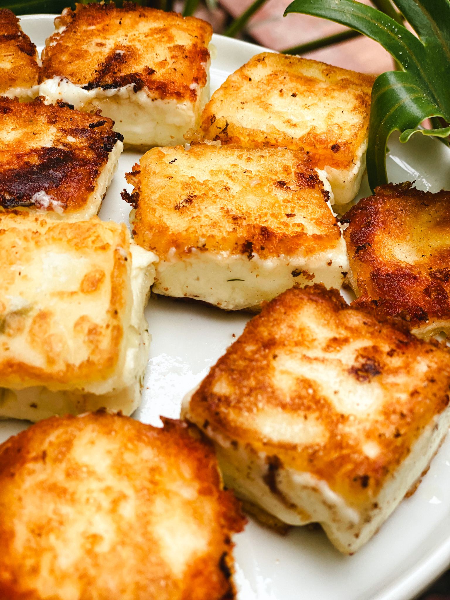 Crispy Feta – SIP.COOK.ENJOY.